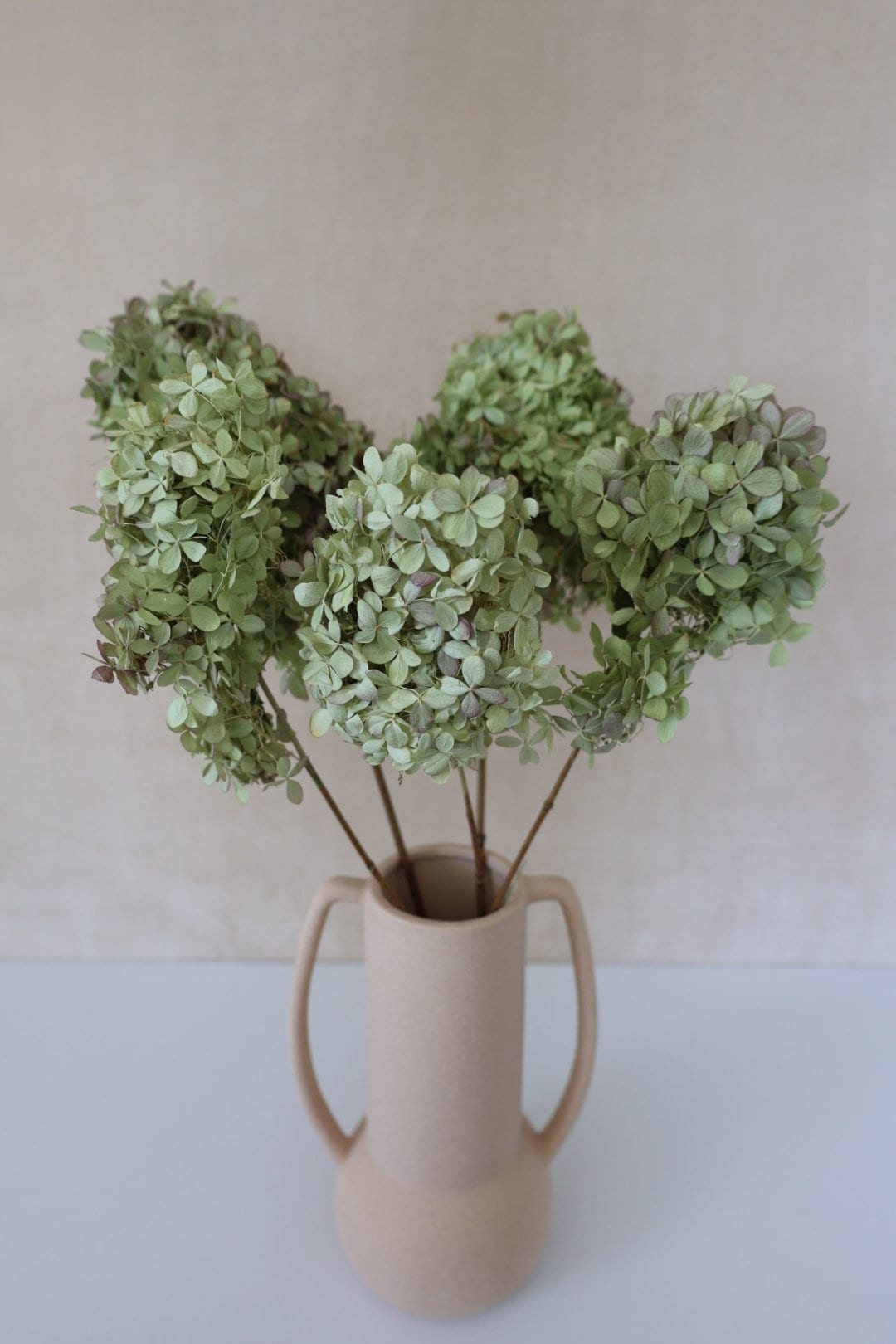 Hydrangea Flowers, Hydrangeas, Dried Flowers, Everlasting Flowers, Home ...