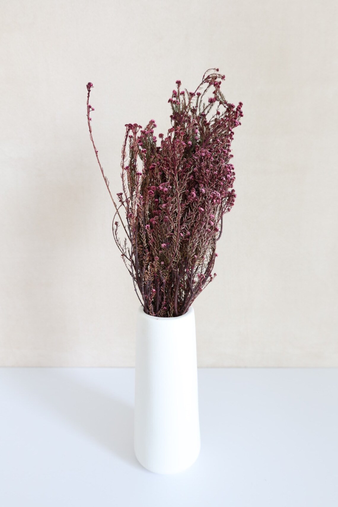 Preserved Pink Phylica, Dried Phylica, Fillers, Flower Arrangements ...