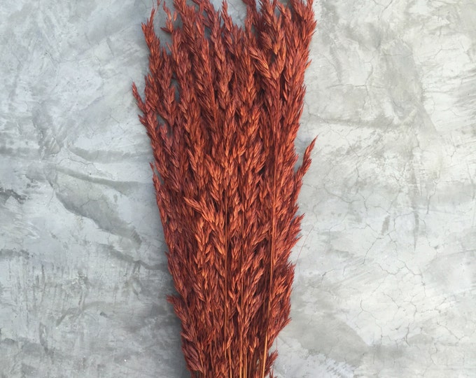 Wild Oats Natural/ Burnt Oak Dried Flowers Wedding Flowers - Etsy