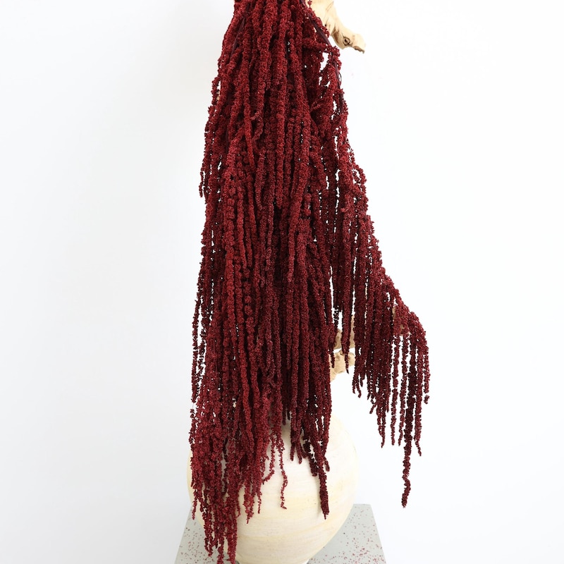 Preserved Burgundy Florals - Etsy