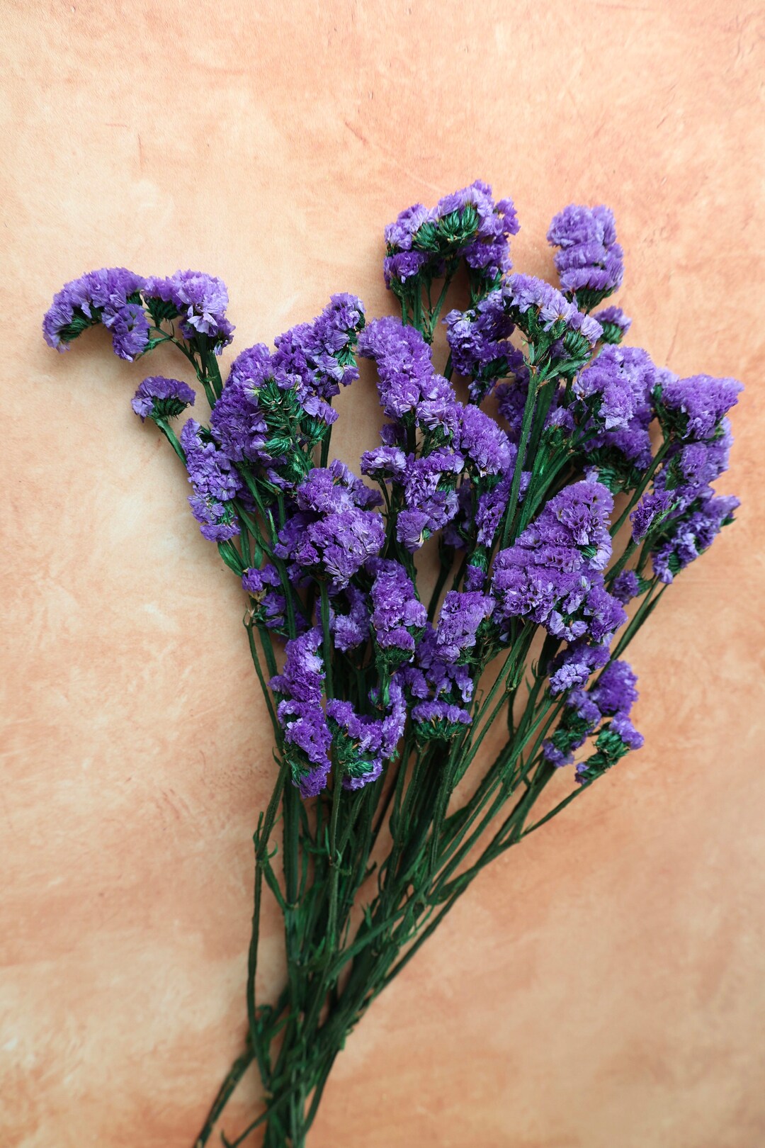 Statice Flower Bush, Dried Statice Flowers, Wedding Flowers, Flowers ...