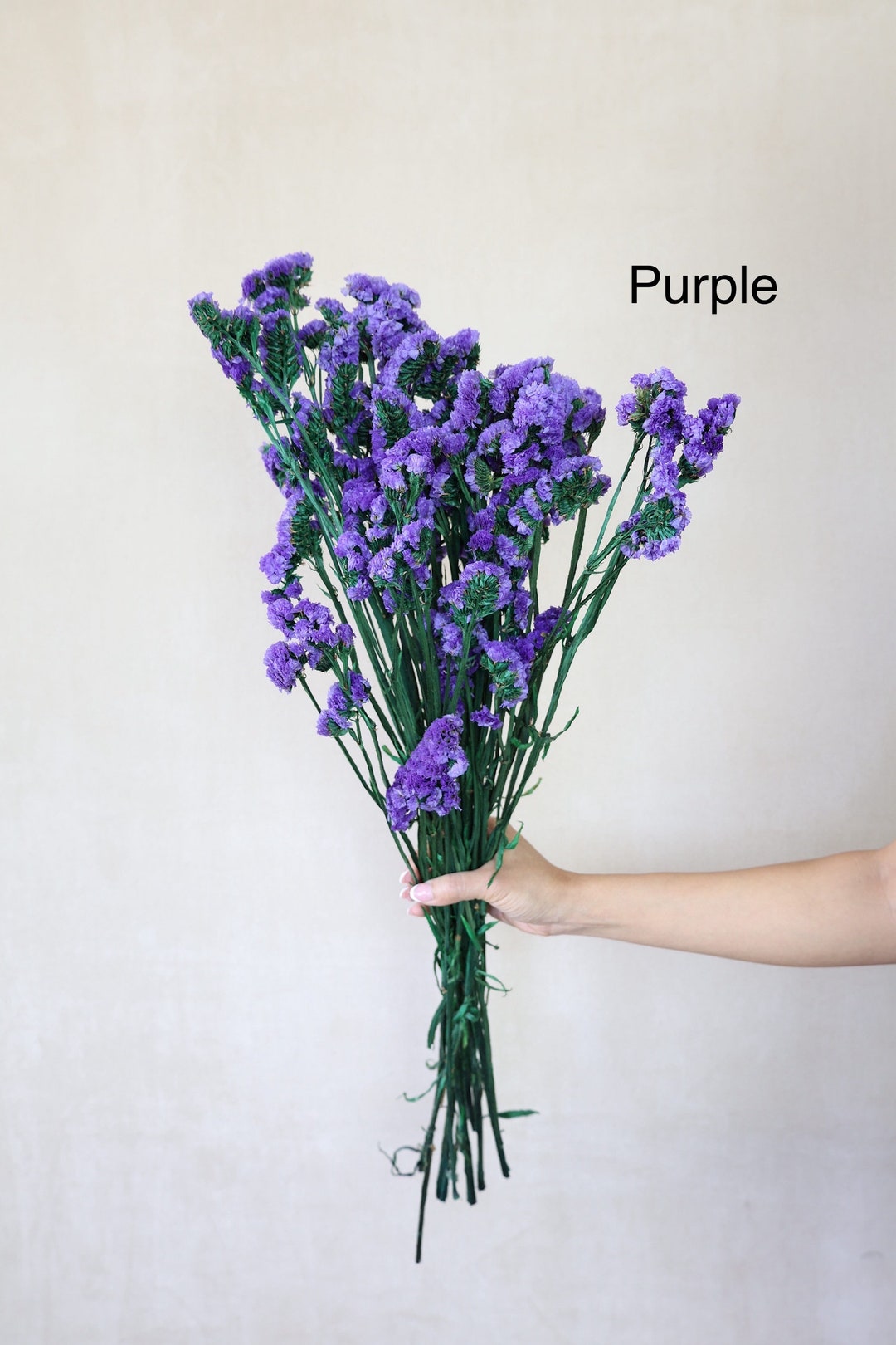 Statice Flower Bush, Dried Statice Flowers, Wedding Flowers, Flowers ...