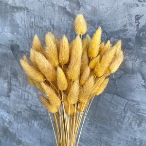 Honey Yellow Lagurus Flower Bush Dried Flowers Wedding - Etsy