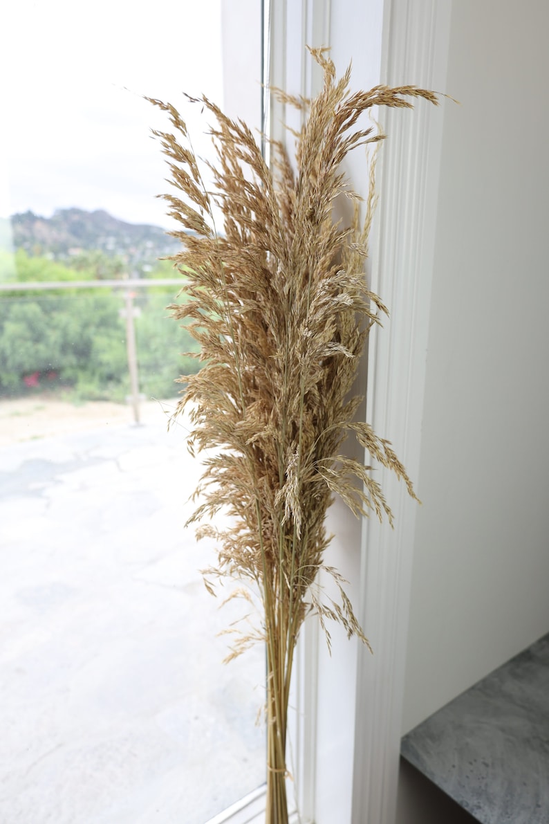 Wild Oats Natural, Dried Flowers, Wedding Flowers, Home Decor, Wedding ...