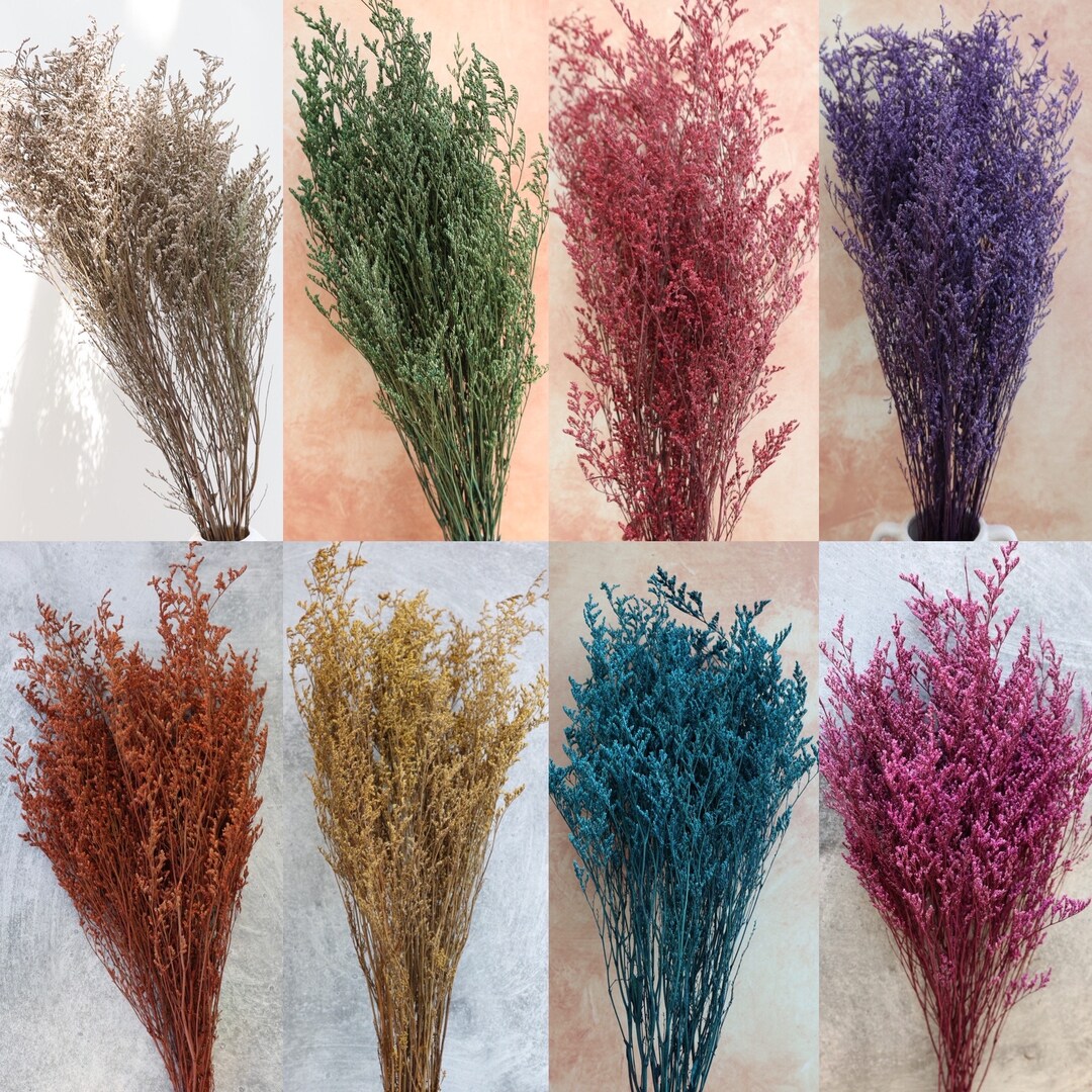 Preserved Caspia, Dried Flowers, Dried Limonium, Preserved Misty, Dried ...