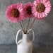 Sola Sunflowers, Sola Stems, Sola Wood Flowers, Sola Flowers, Weddings ...