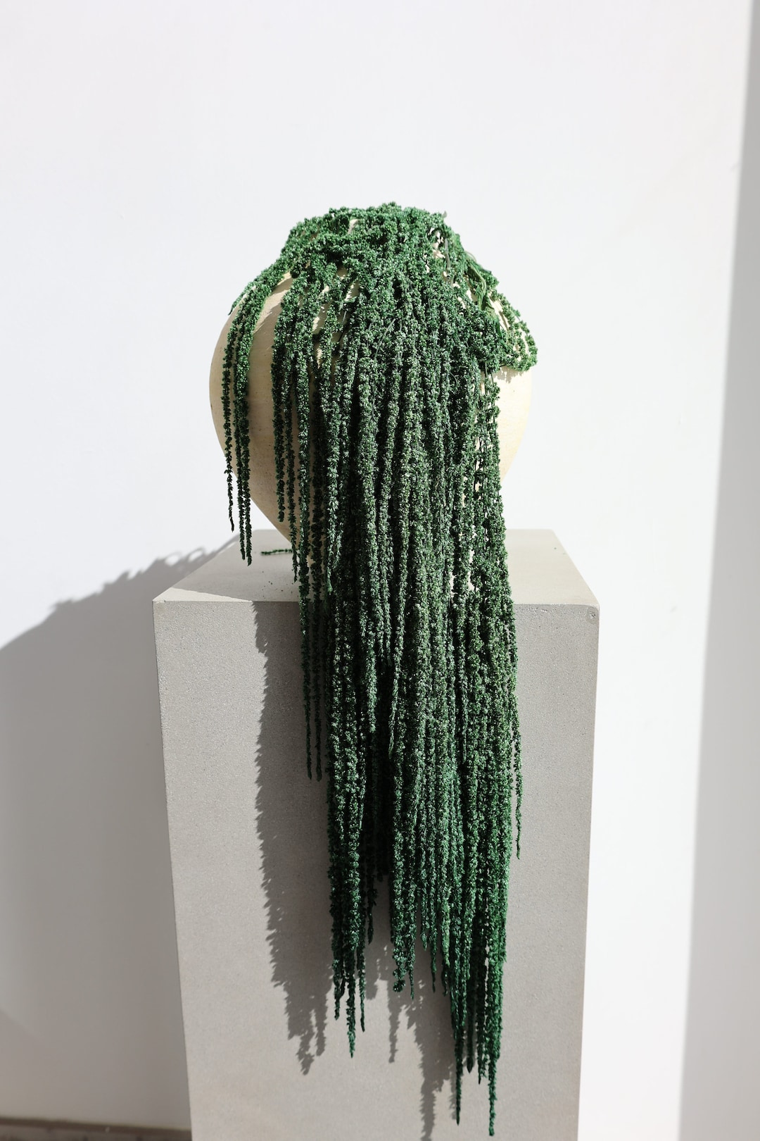 Amaranthus Hanging Preserved, Amaranthus, Hanging Amaranthus, Hanging ...