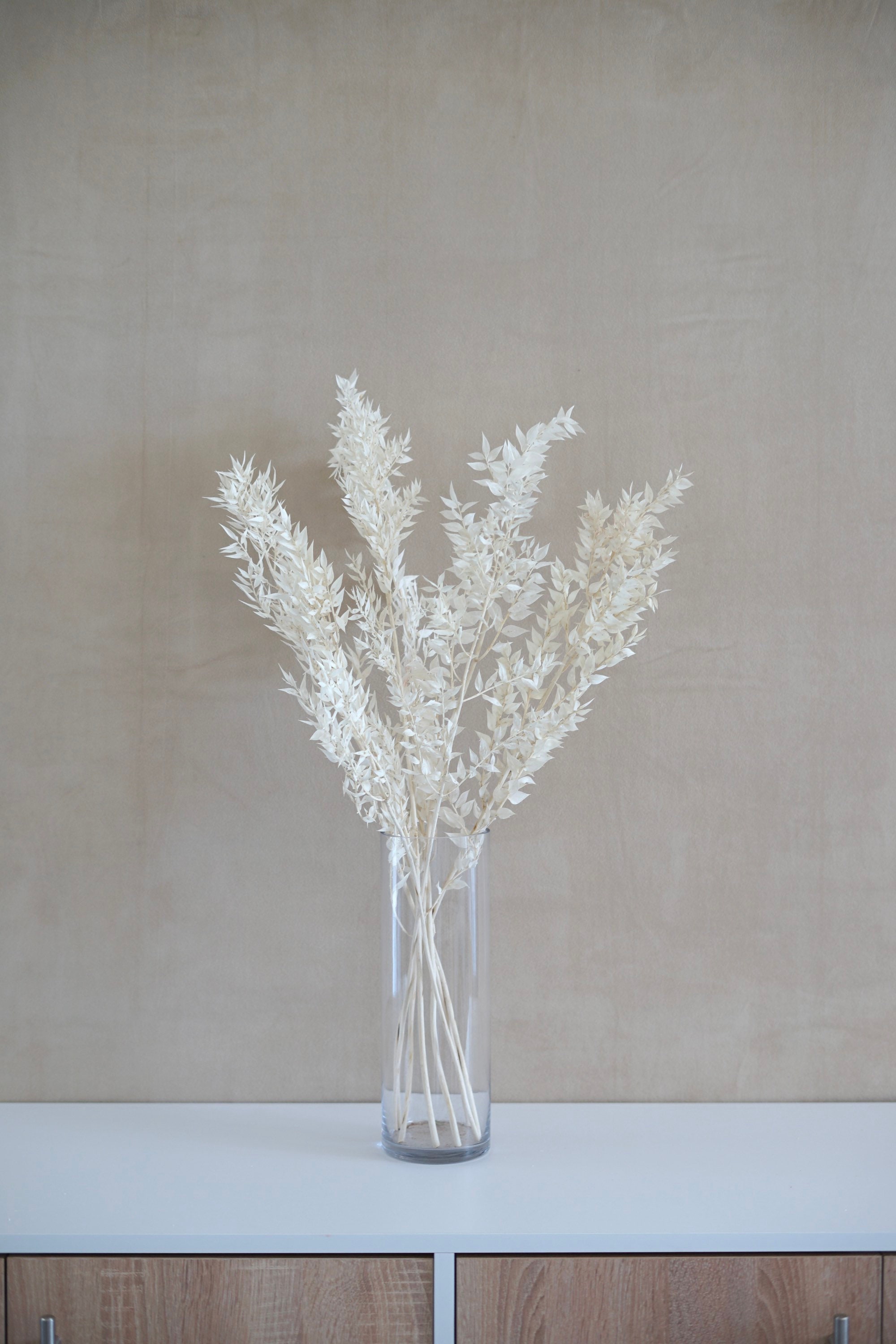 Bleached Italian Ruscus Dried Ruscus Dried Flowers Wedding - Etsy