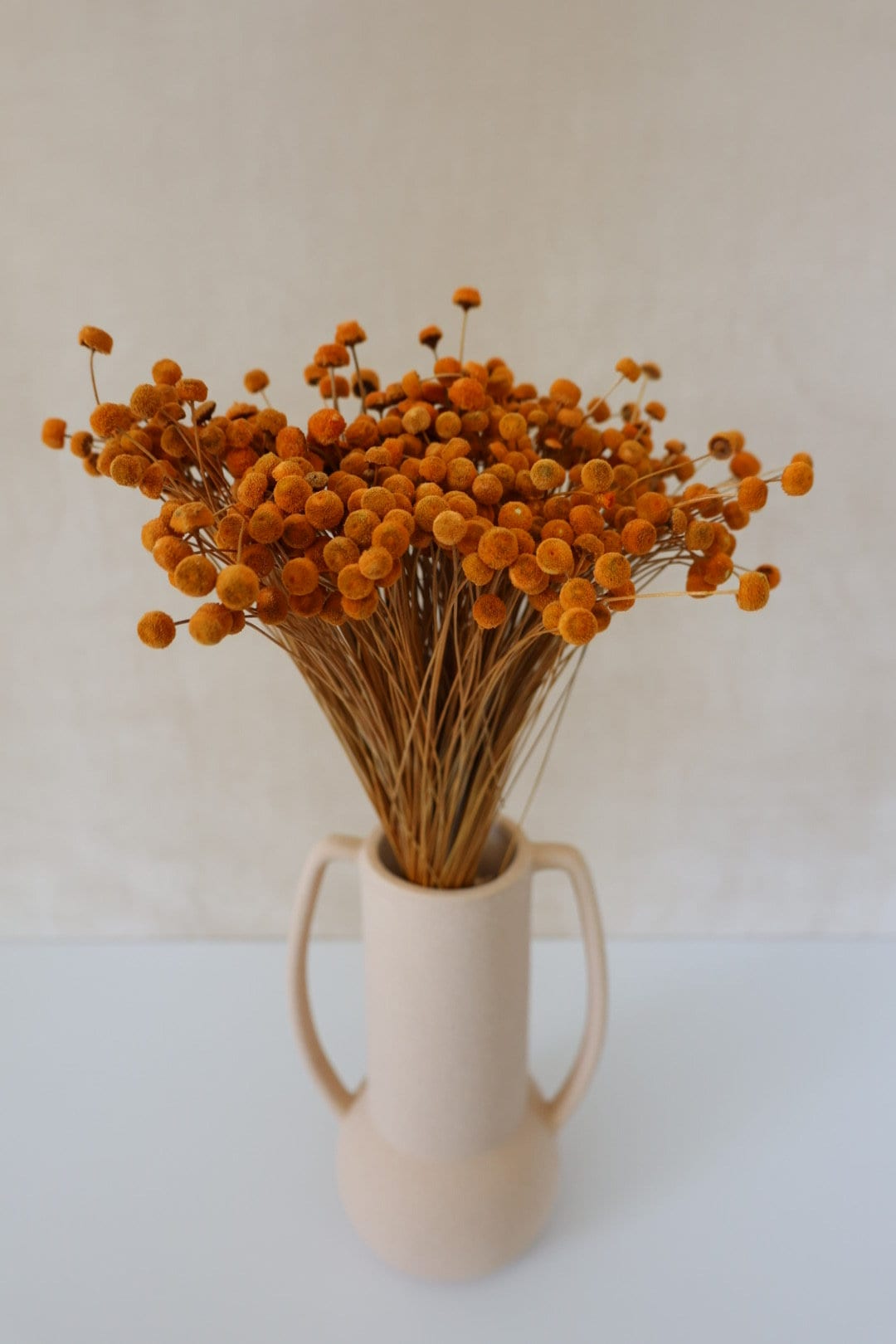 Terracotta Orange Dried Floral Button Flowers: Home Decor - Etsy