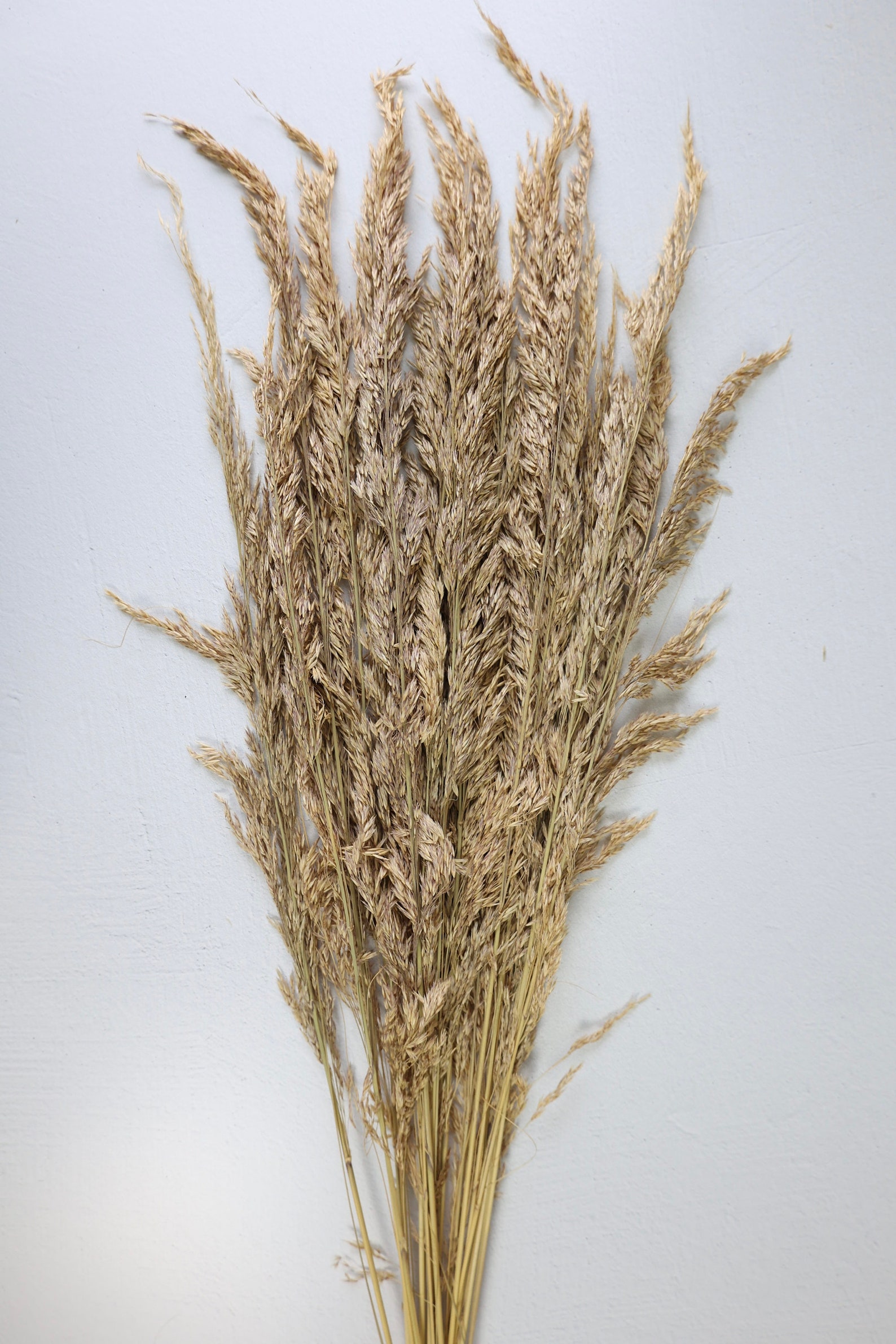 Wild Oats Natural, Dried Flowers, Wedding Flowers, Home Decor, Wedding ...