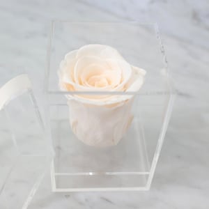 Preserved Rose, Preserved Rose Box, Gifts, Long Lasting Roses - Etsy