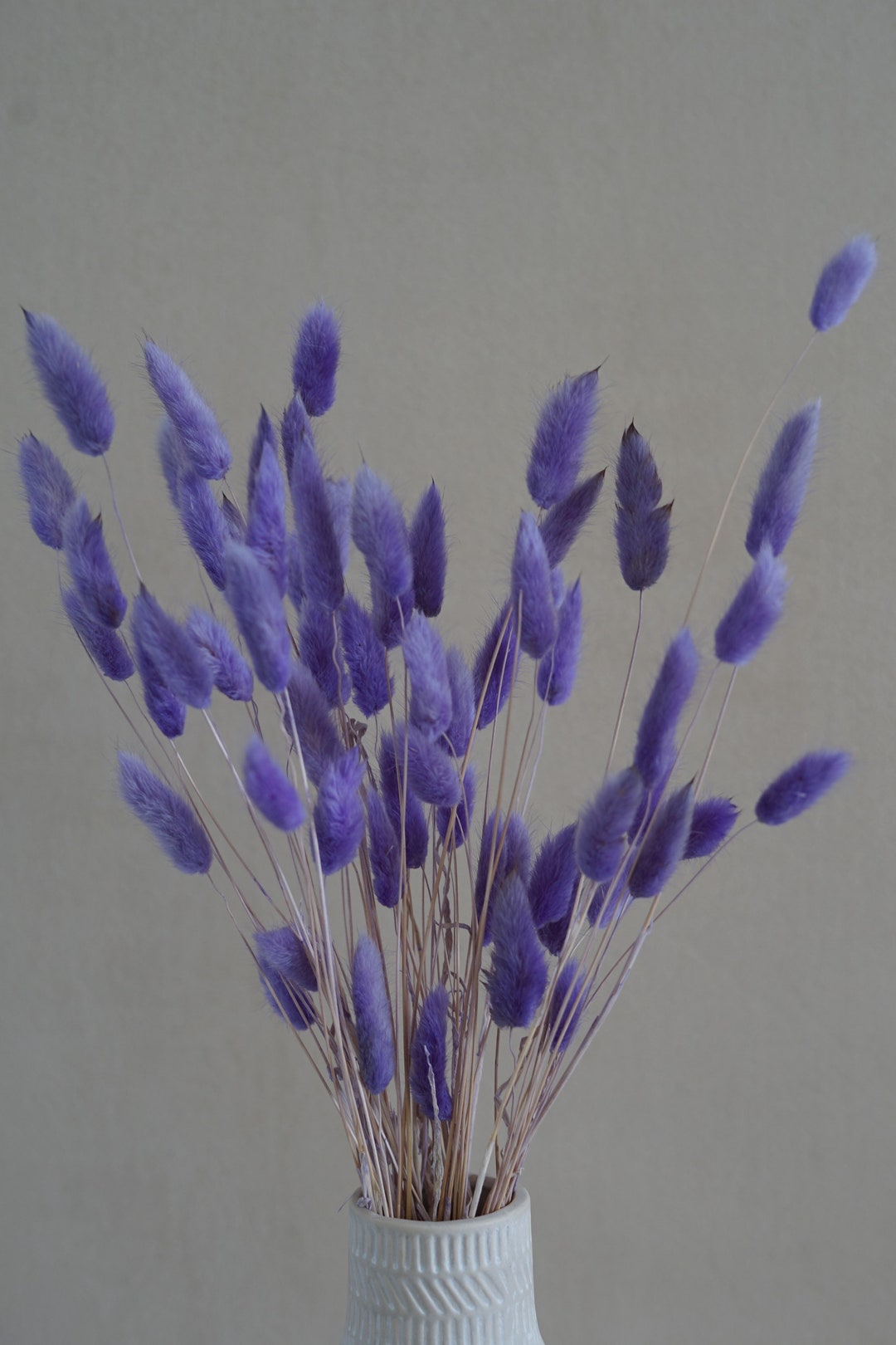 Lagurus Flower Bush Dried Flowers Wedding Flowers Bunny - Etsy