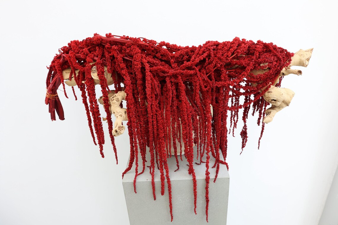 Deep Red Amaranthus Hanging Preserved - Etsy