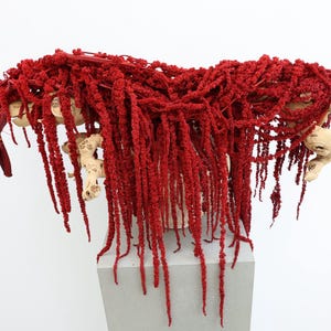 Deep Red Amaranthus Hanging Preserved - Etsy