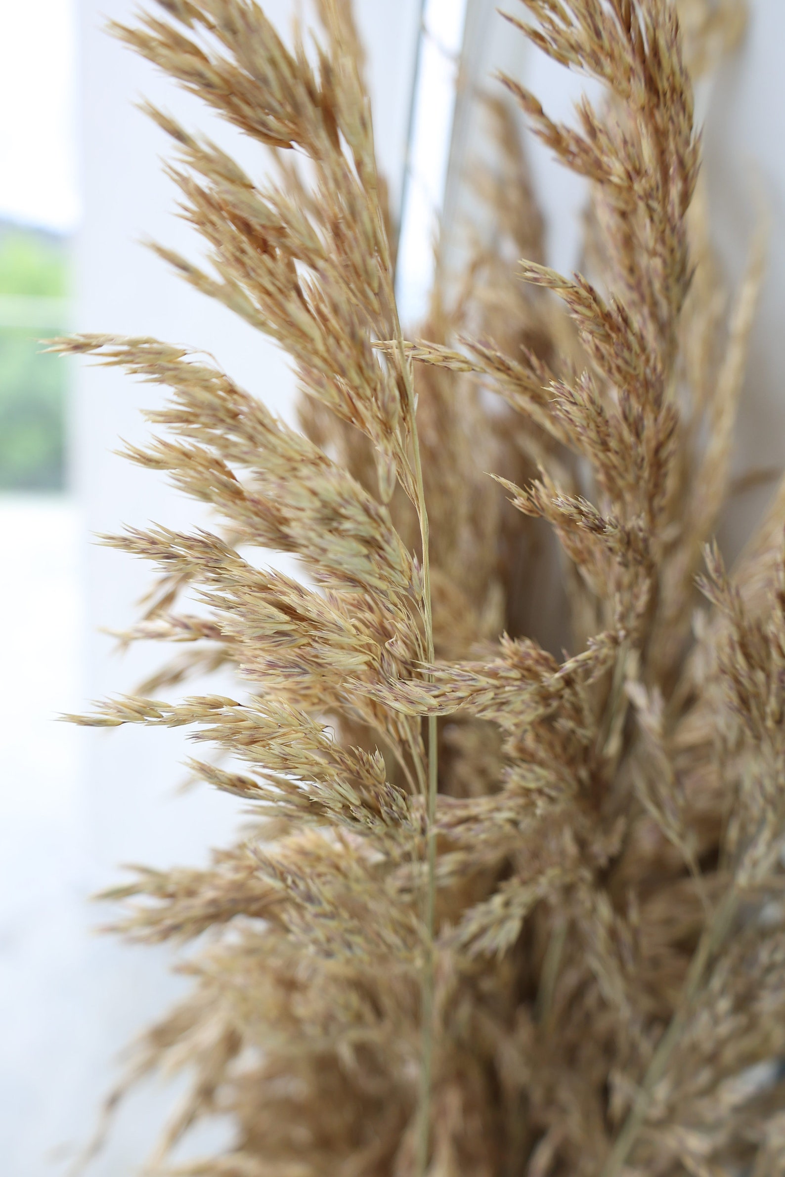 Wild Oats Natural, Dried Flowers, Wedding Flowers, Home Decor, Wedding ...