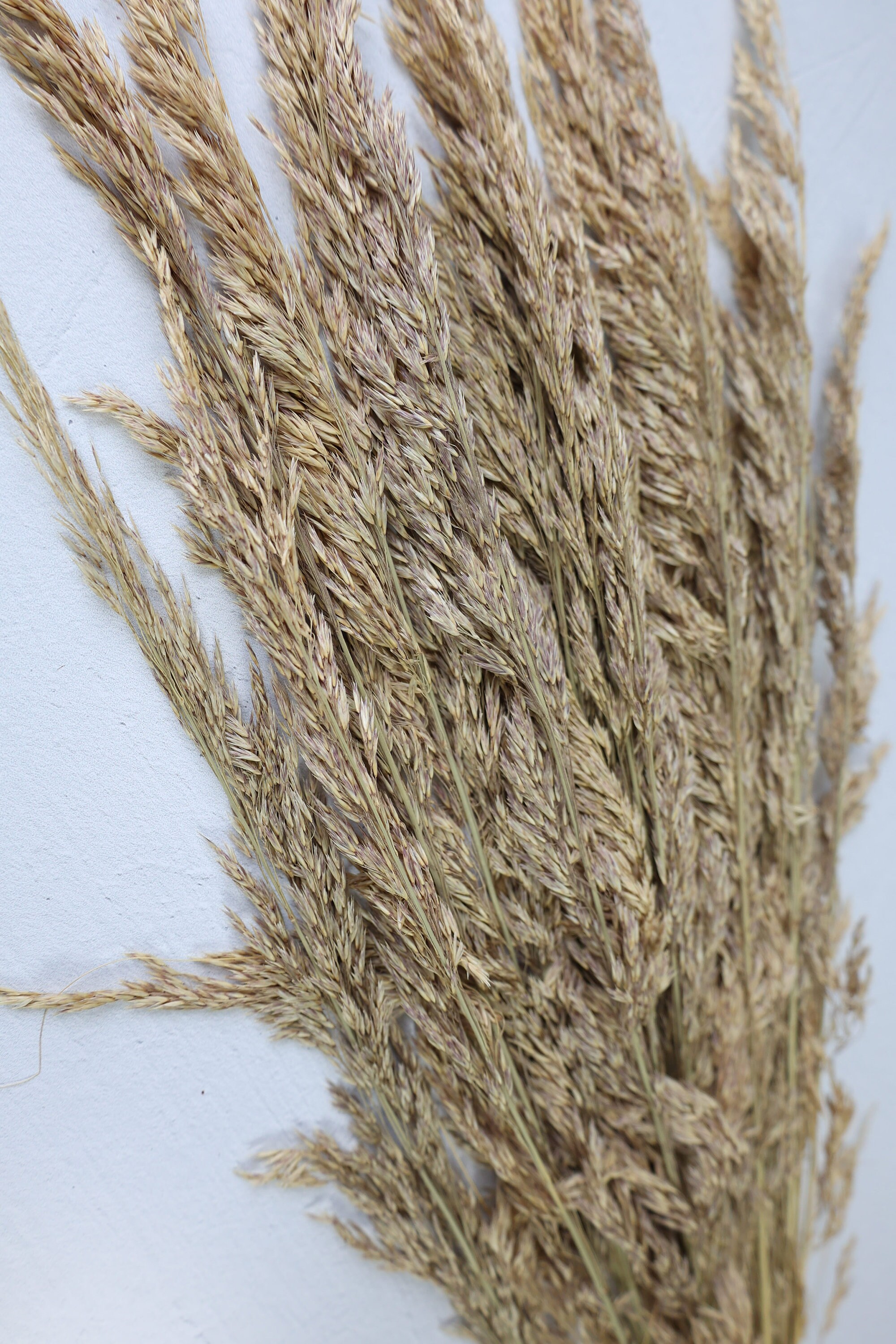 Wild Oats Natural, Dried Flowers, Wedding Flowers, Home Decor, Wedding ...