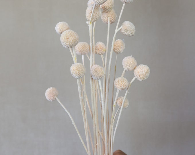 Romantic Flowers Dried Natural Arrangement ,colorful Long Lasting ...