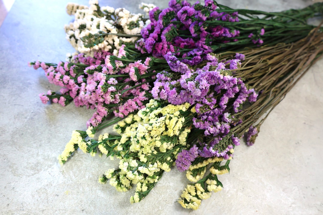 Statice Flower Bush, Dried Statice Flowers, Wedding Flowers, Flowers ...