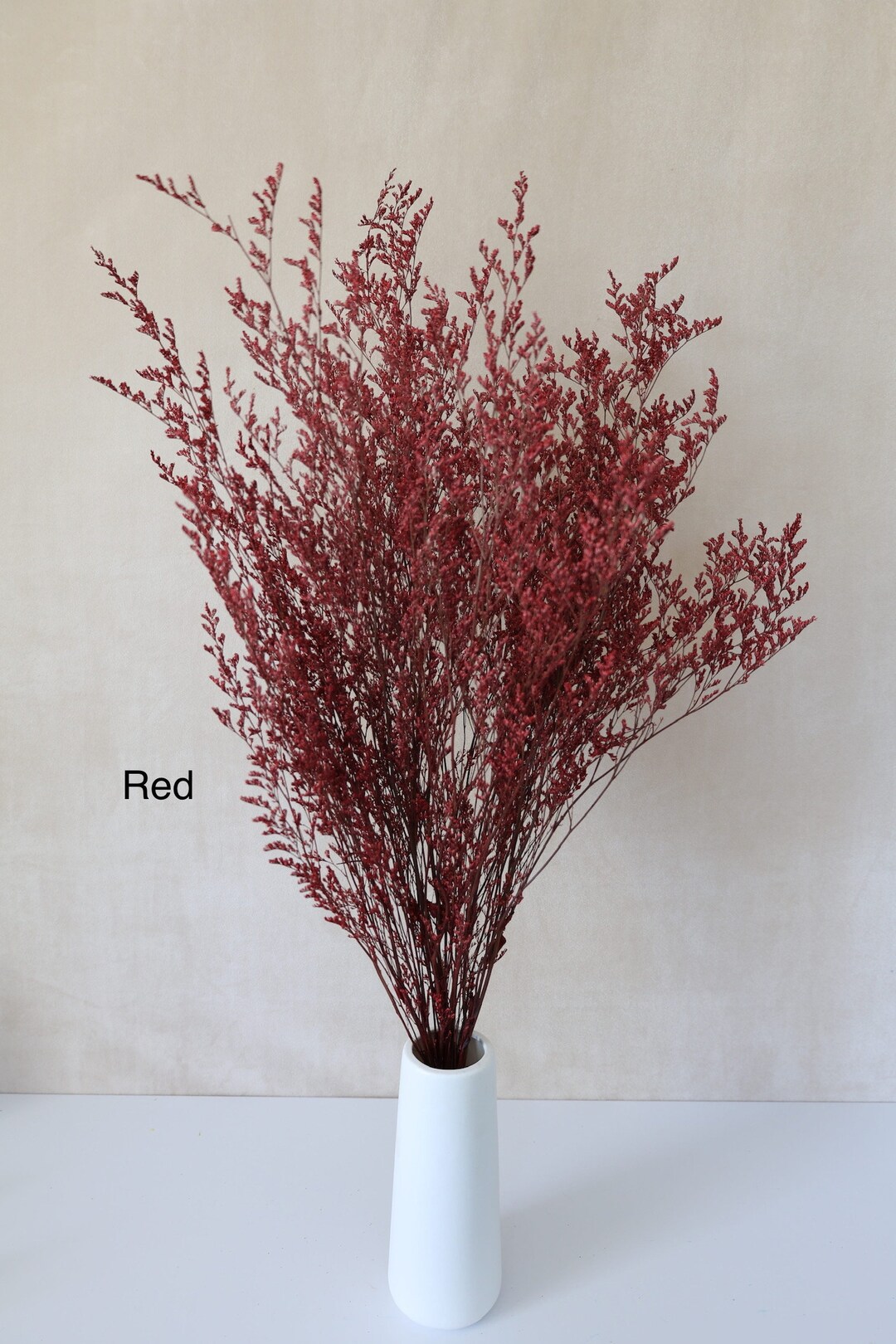 Preserved Caspia, Dried Flowers, Dried Limonium, Preserved Misty, Dried ...