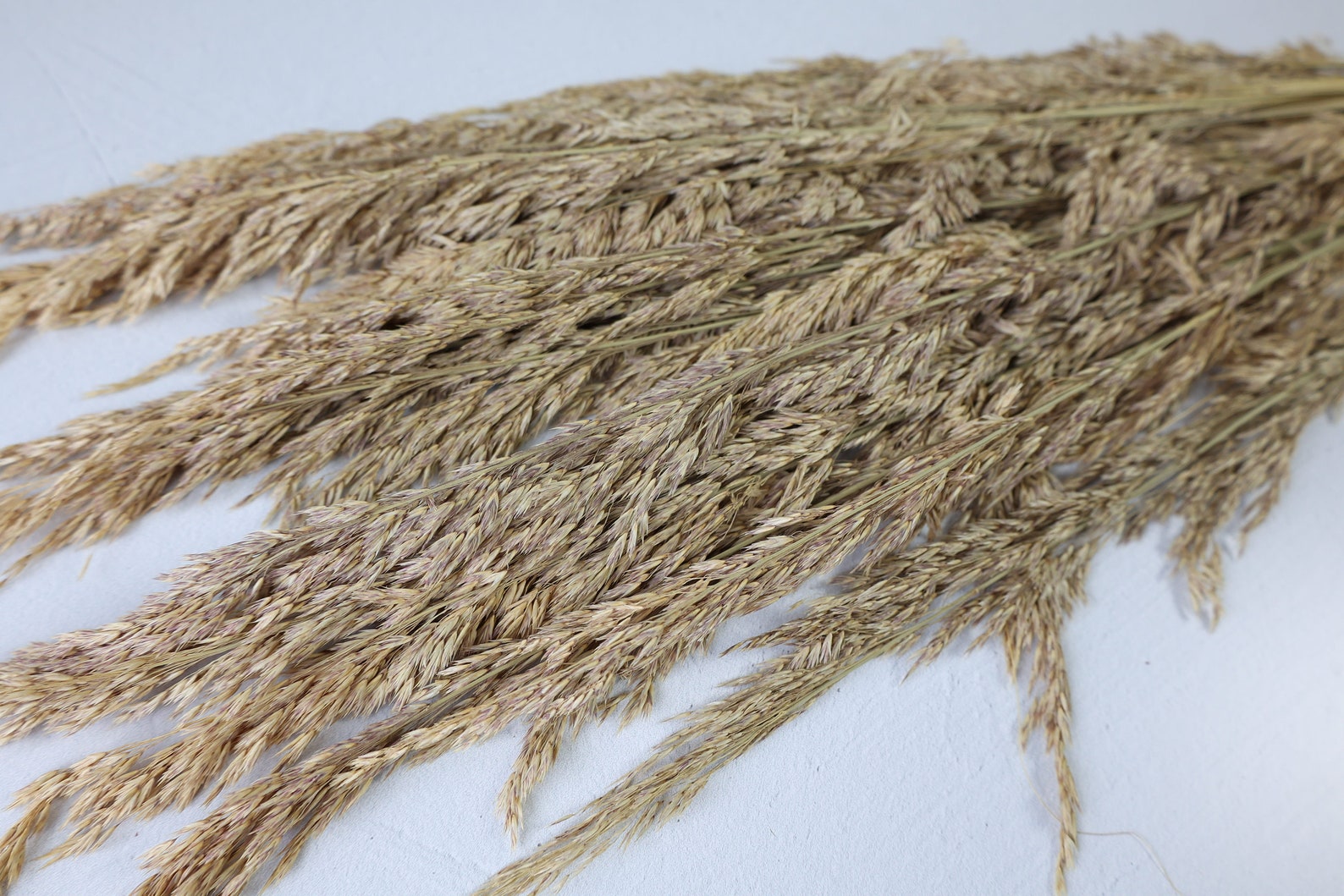 Wild Oats Natural, Dried Flowers, Wedding Flowers, Home Decor, Wedding ...
