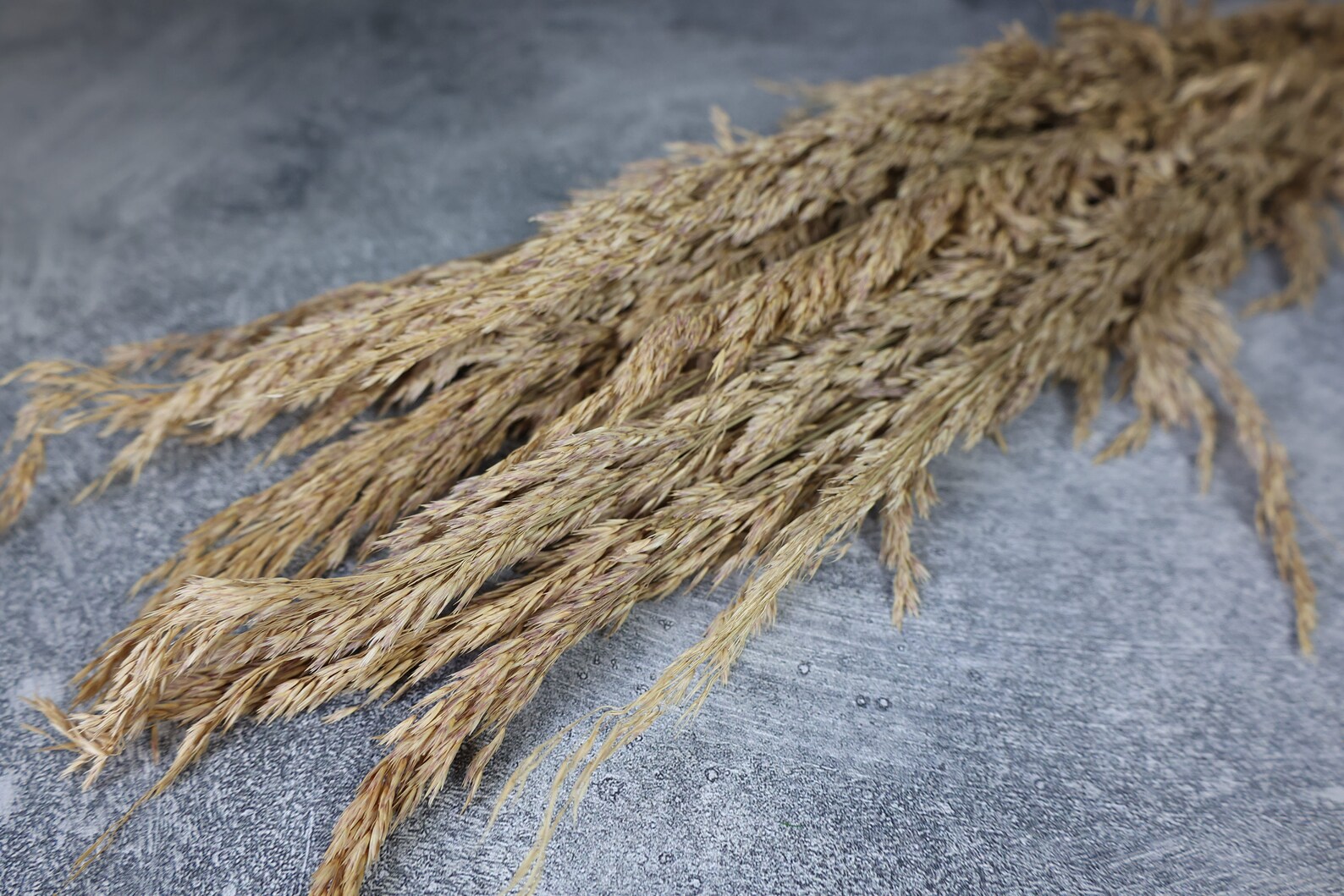 Wild Oats Natural, Dried Flowers, Wedding Flowers, Home Decor, Wedding ...