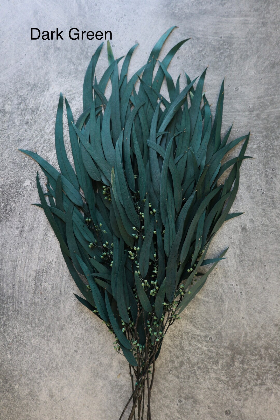 Preserved Seeded Eucalyptus Bush: Teal Green Dried Flower Decor - Etsy