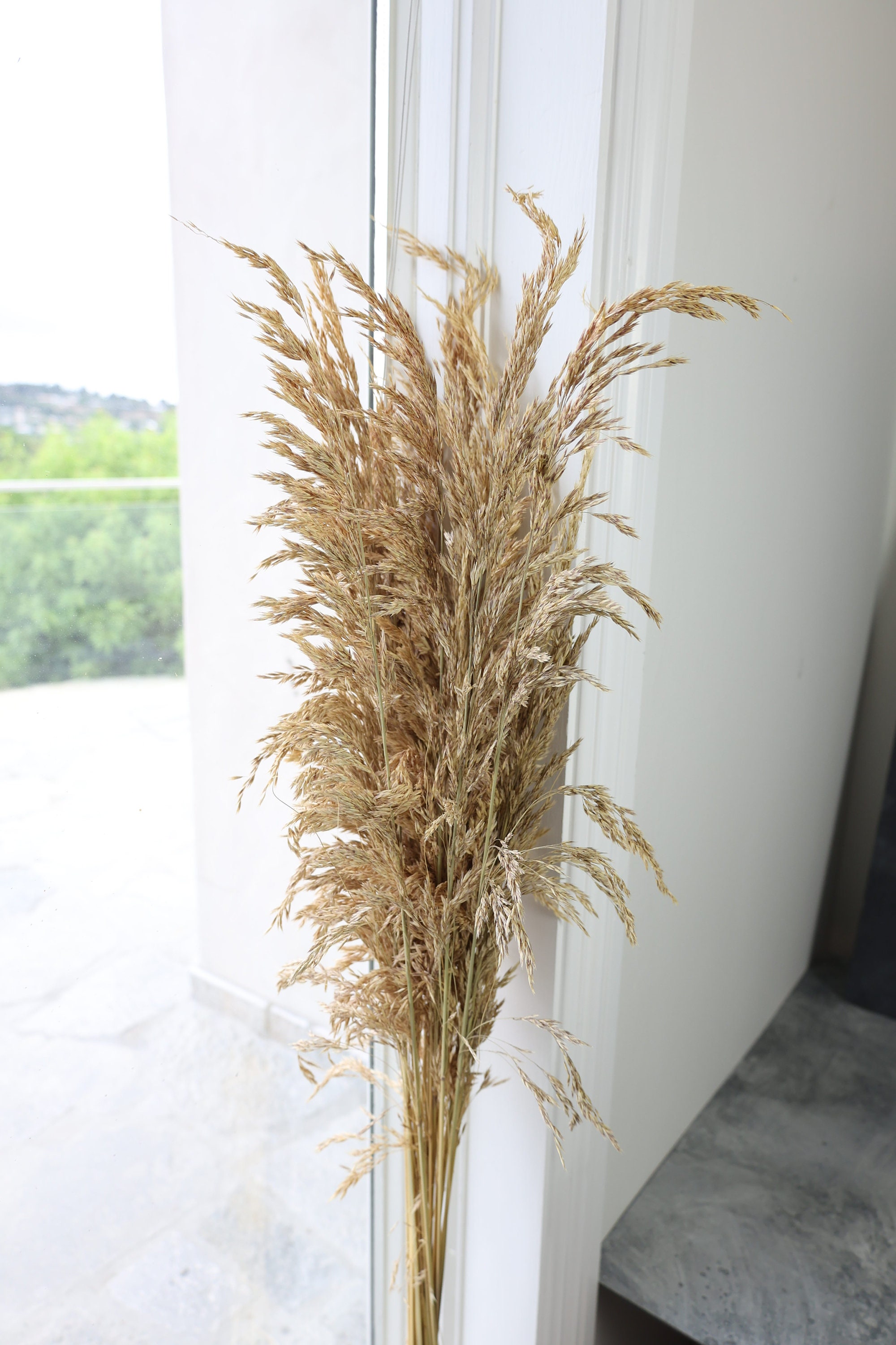 Wild Oats Natural, Dried Flowers, Wedding Flowers, Home Decor, Wedding ...