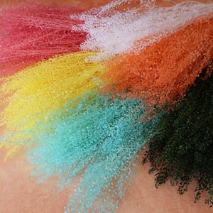 Dried Lepidium, Dried Pepper Grass, Garden Cress, Grass, Preserved ...