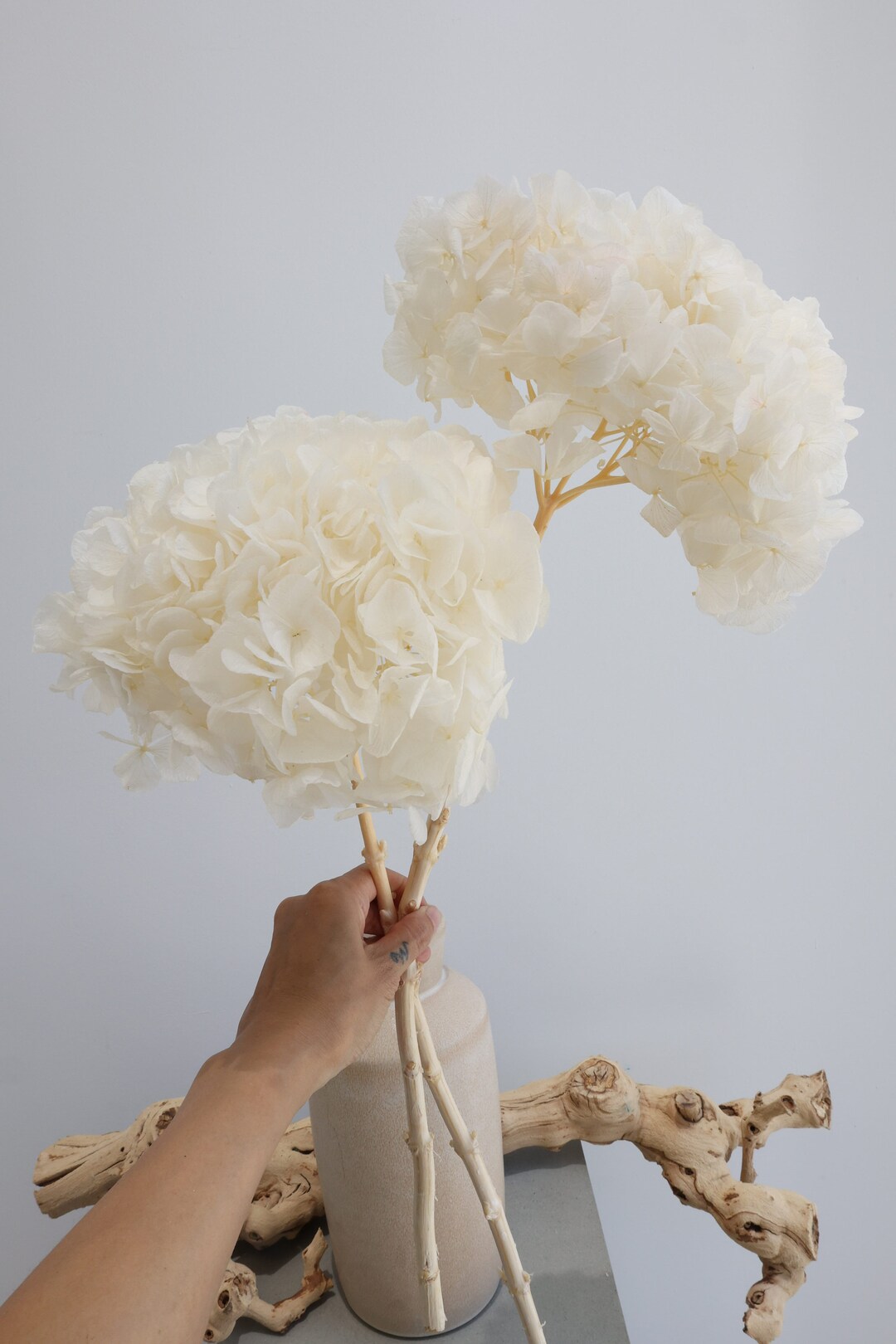 Hydrangea Flowers, Preserved Hydrangeas, Dried Flowers, Everlasting ...