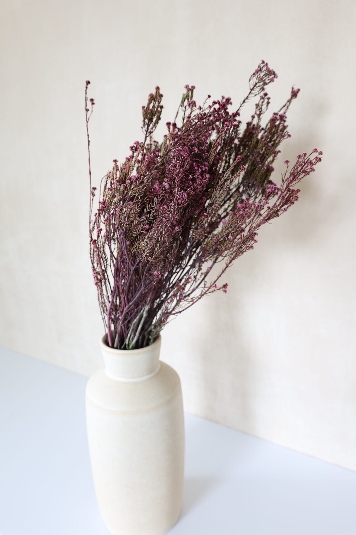Preserved Pink Phylica, Dried Phylica, Fillers, Flower Arrangements ...