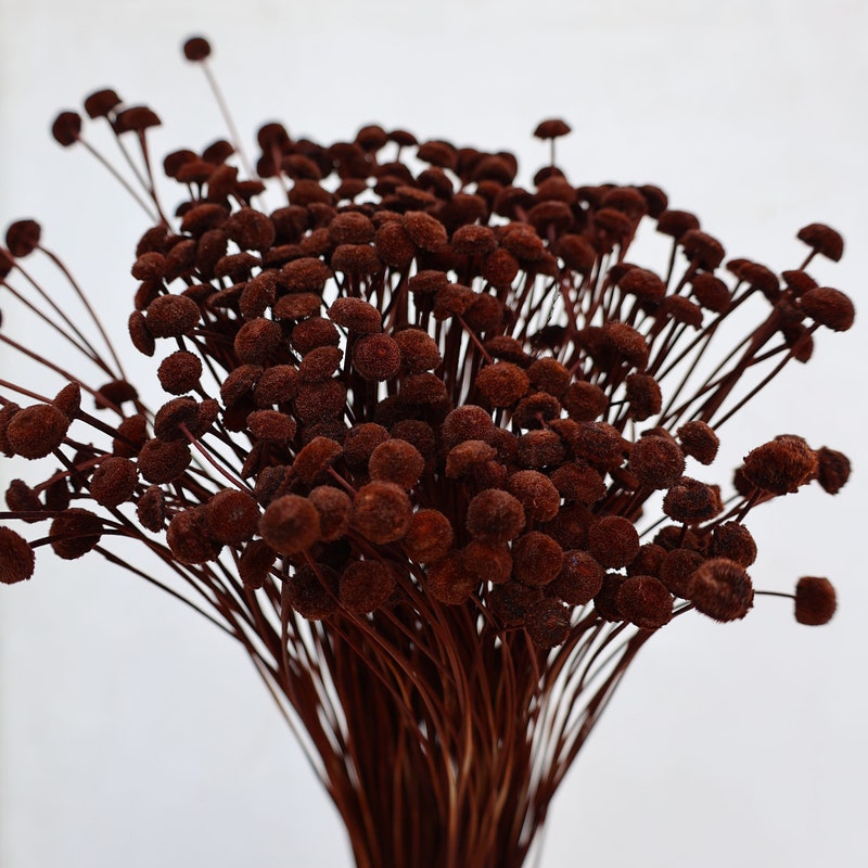 Button Bouquet Home Decor - Etsy