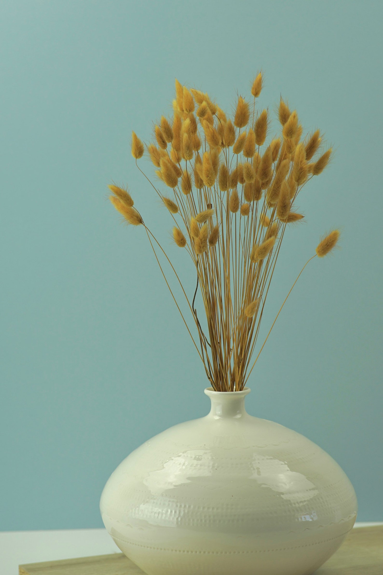 Honey Yellow Lagurus Flower Bush Dried Flowers Wedding - Etsy