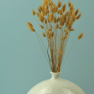 Honey Yellow Lagurus Flower Bush, Dried Flowers, Wedding Flowers, Bunny ...