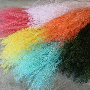 Dried Lepidium, Dried Pepper Grass, Garden Cress, Grass, Preserved ...