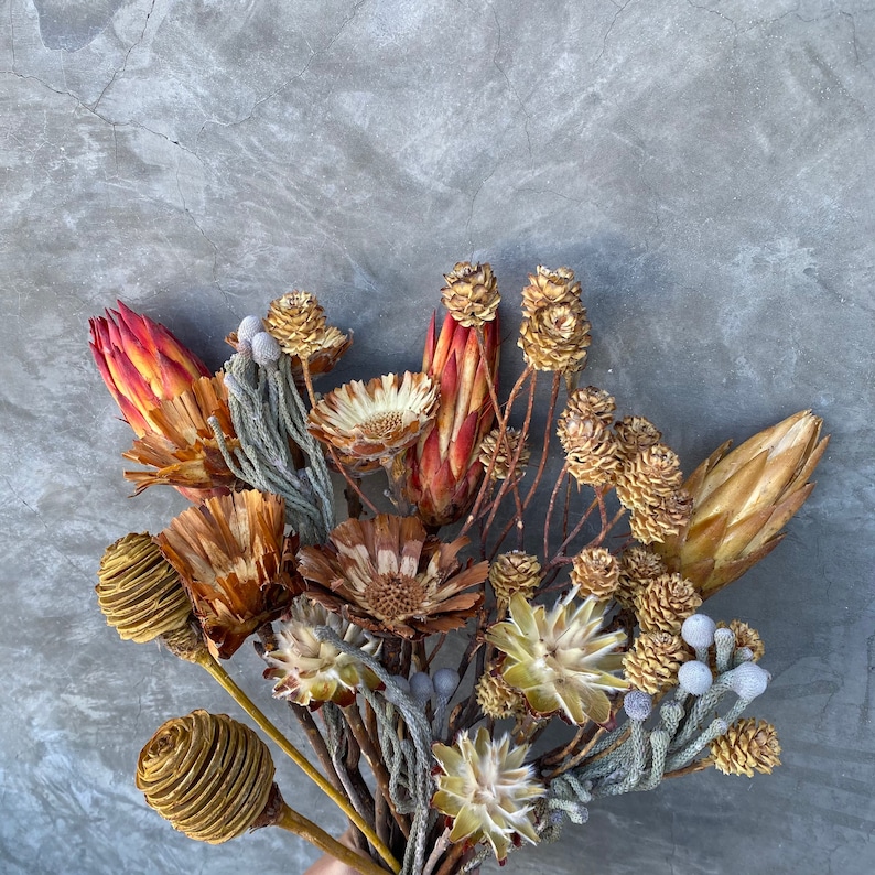 Exotic Assortment Natural Dried Floral Bouquet Natural Dried | Etsy