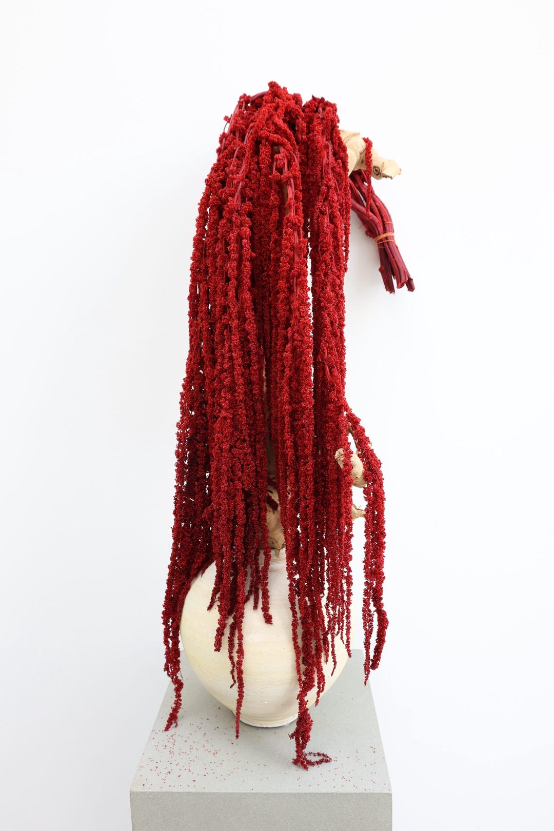 Deep Red Amaranthus Hanging Preserved - Etsy