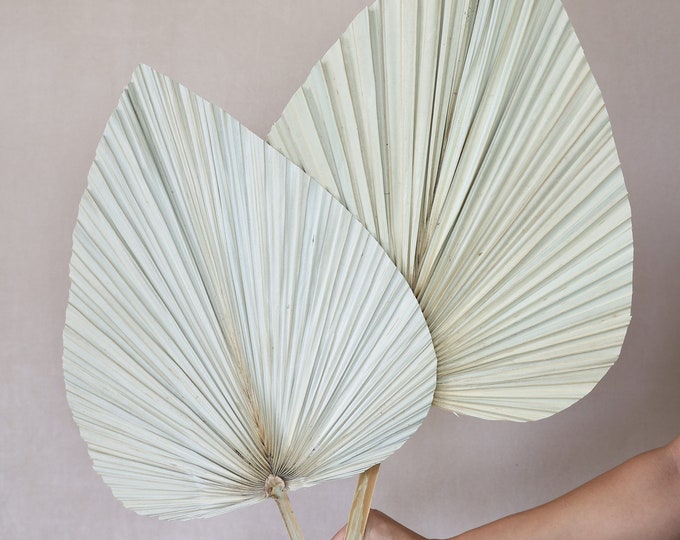 Set of 3 Large Palm Leaves, Dried Palms, Sun Palm Leaves, Wedding ...