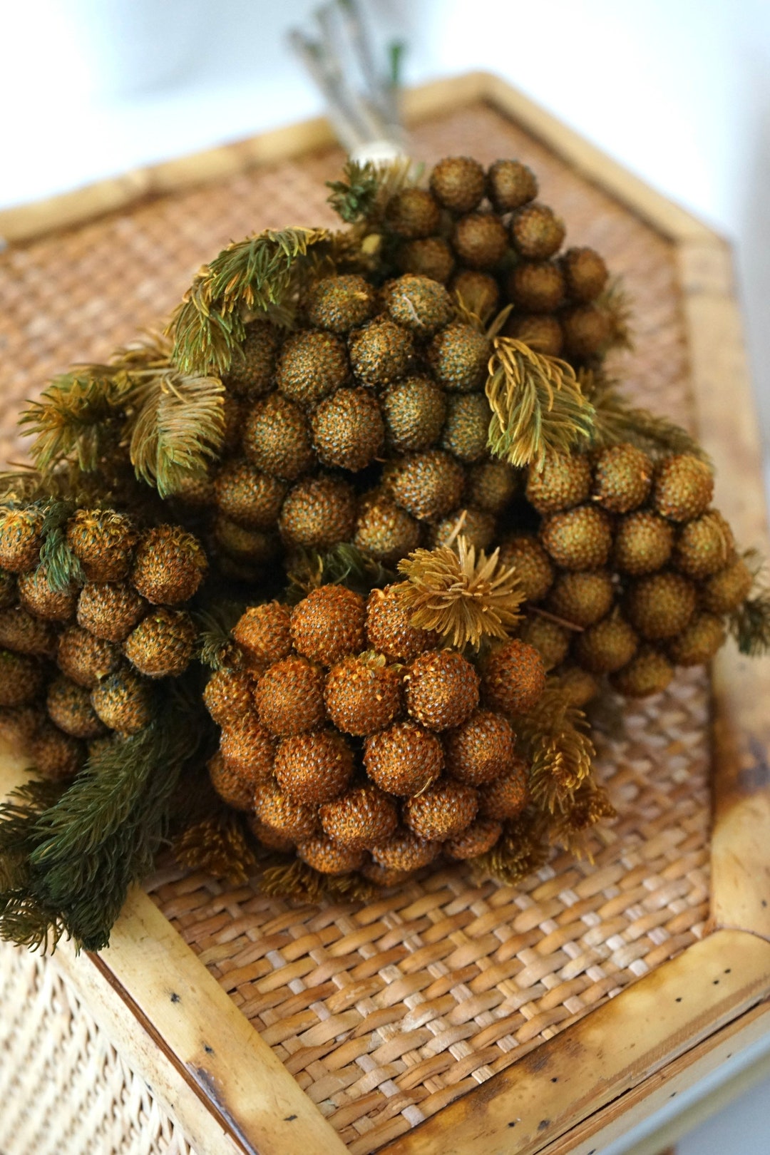 Natural Brunia, Dried Flowers, Wedding Flowers, Naturally Dried ...