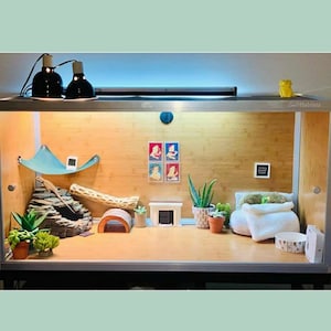 Bearded Dragon Reading a Book 3x4 Tank Decor - Cute Reptile Tank Decor ...