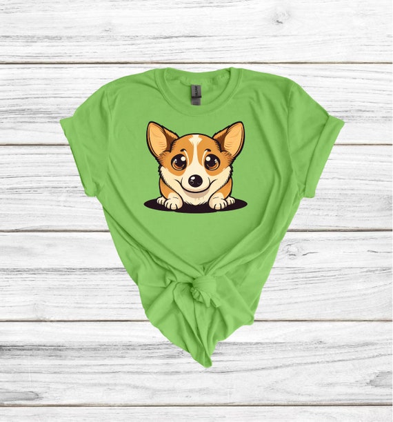 Begging Corgi