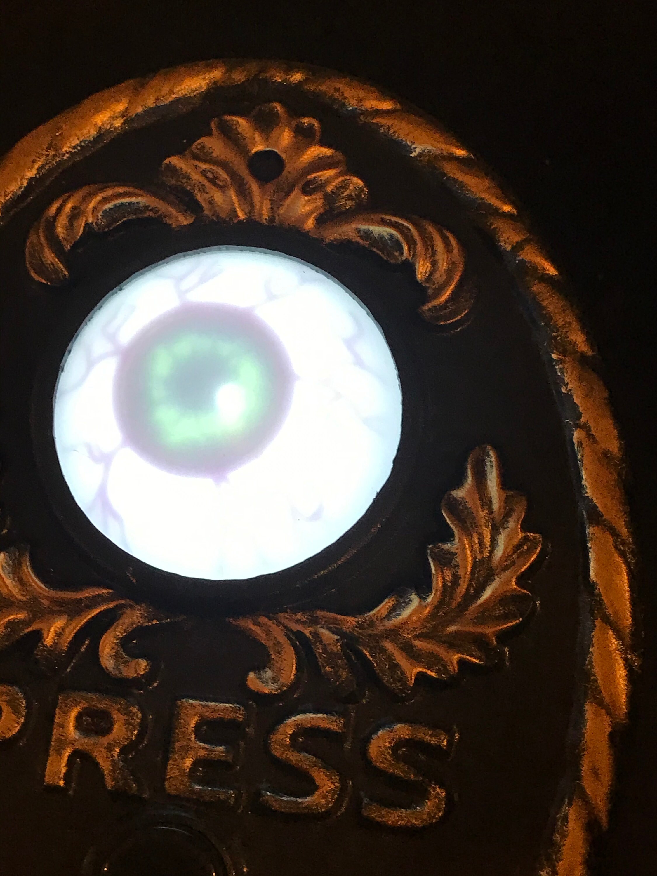 Creepy Halloween door bell press the button it lights up and | Etsy