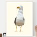 Seagull Print, Seagull, Bird, Digital Print, Art Print, Geometric Print ...