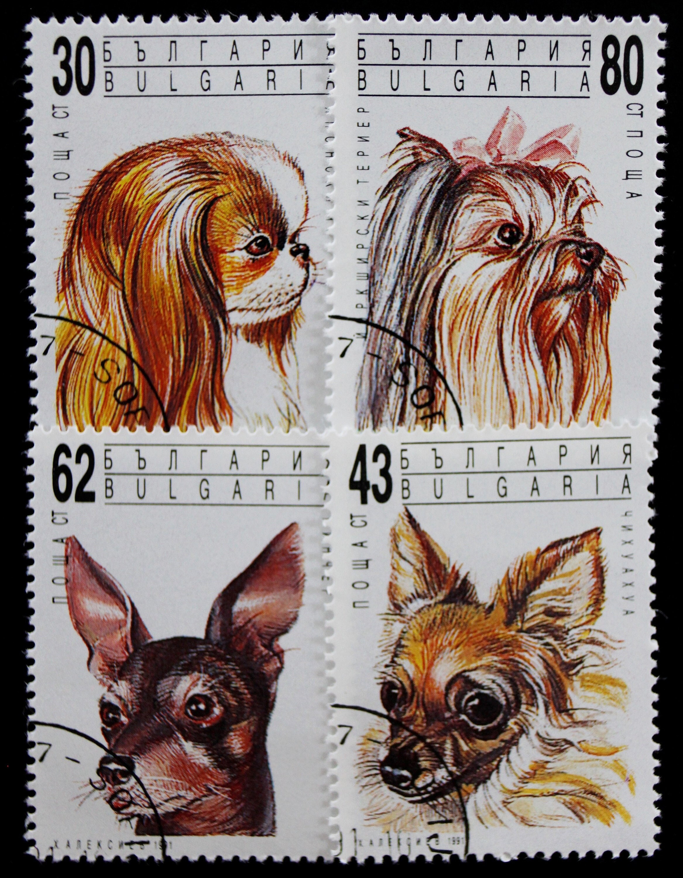 Art & Collectibles Dog Themed Postage Stamp Collection World Vintage ...