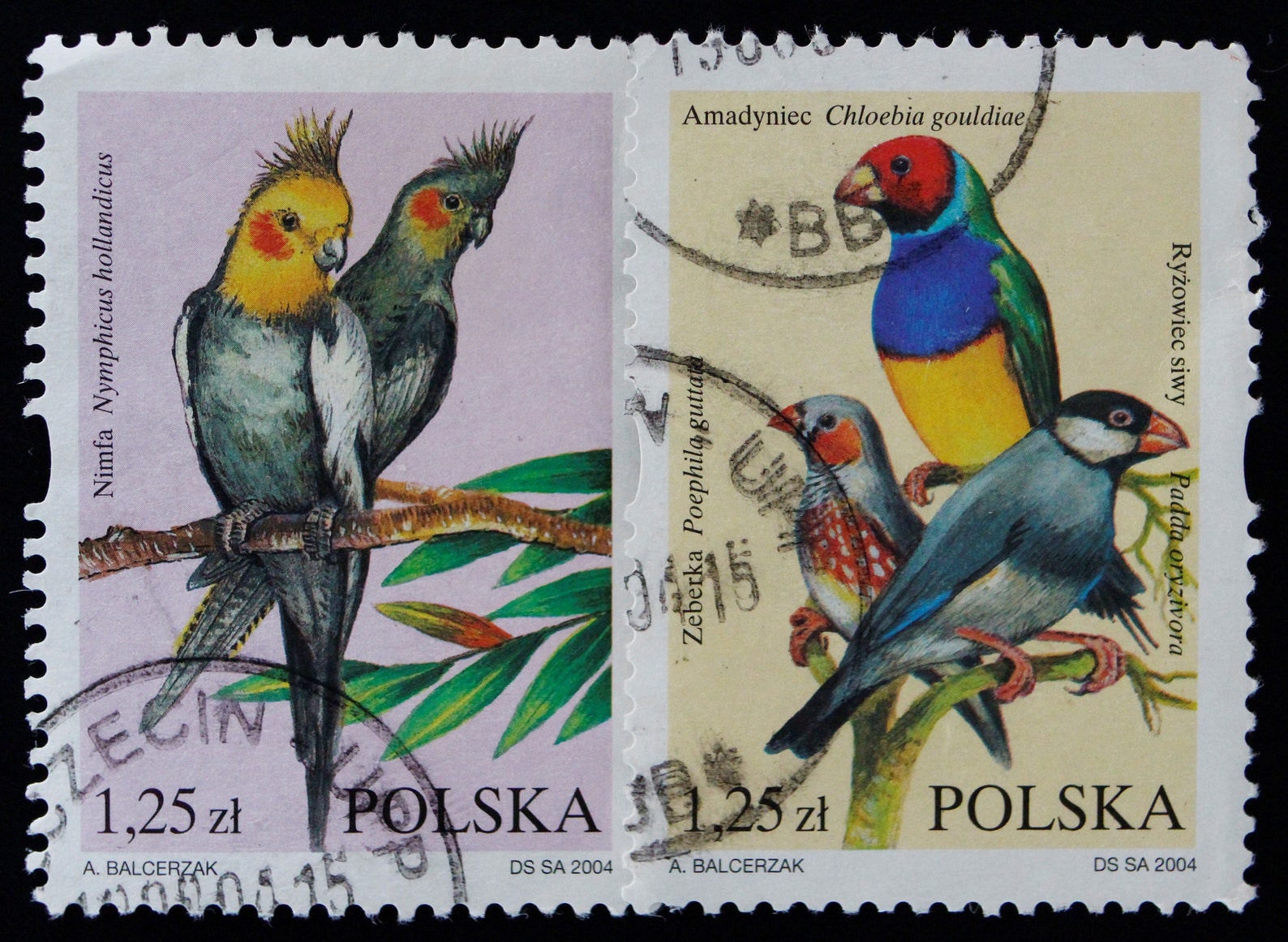 Exotic Birds Postage Stamp Set // Poland Used Post Ephemera // - Etsy ...