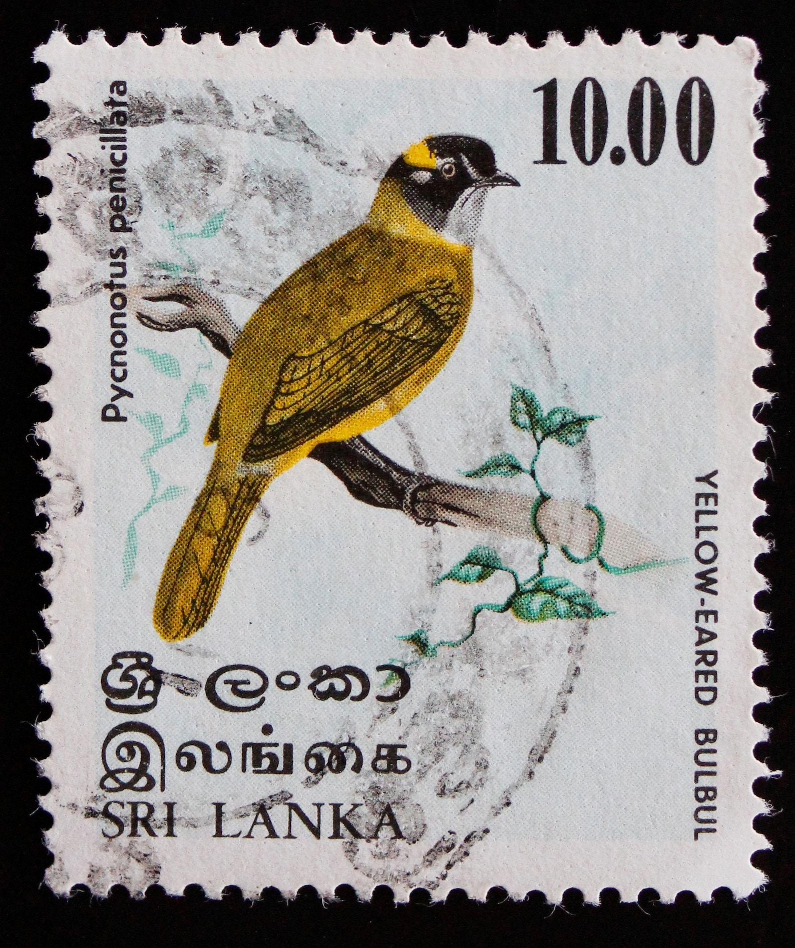 Sri Lankan Birds Postage Stamp Set // Sri Lanka 1979 Used - Etsy Australia