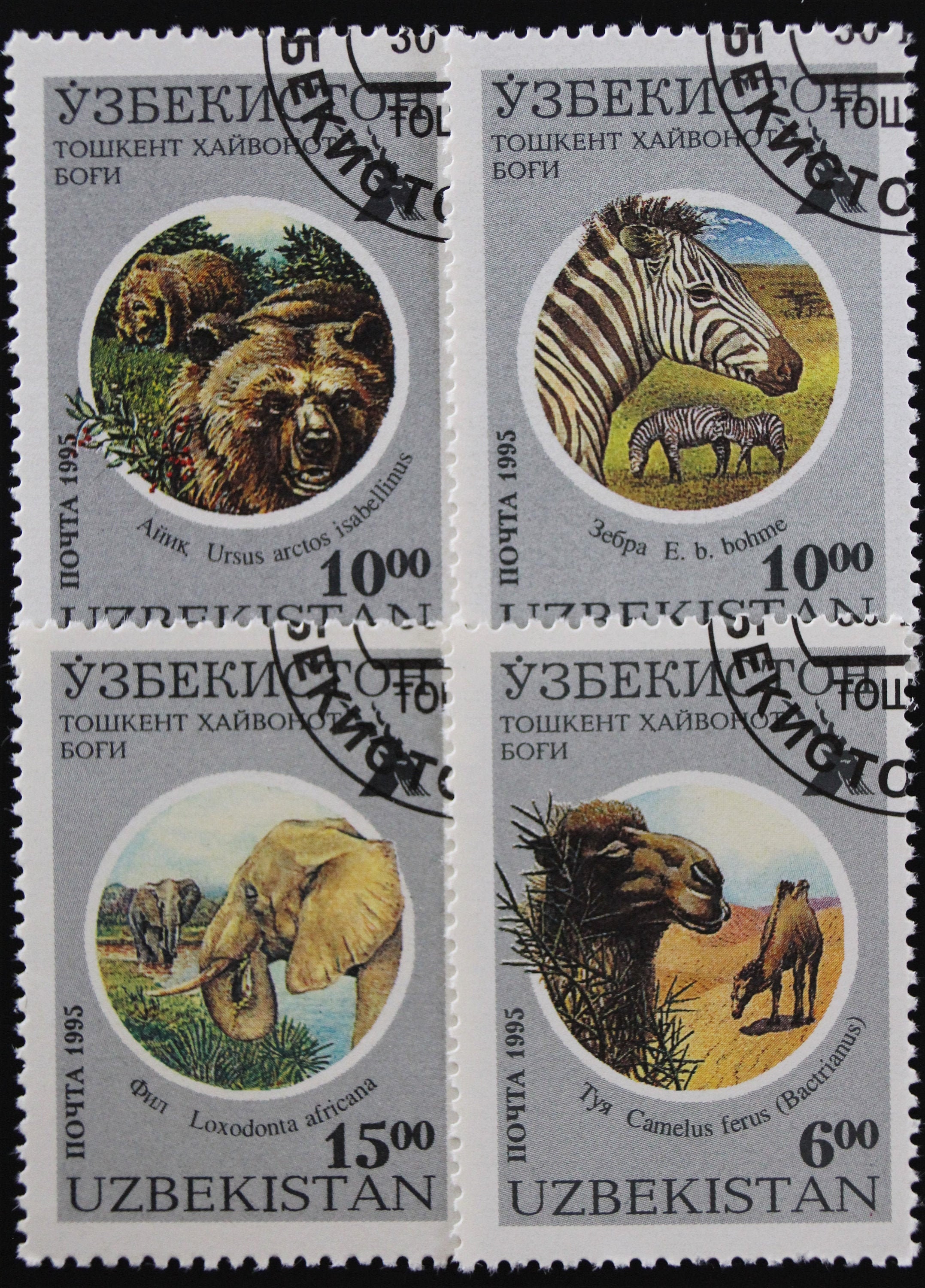 Indonesian Reptiles Postage Stamp Set // Indonesia 1966 Vintage Post ...