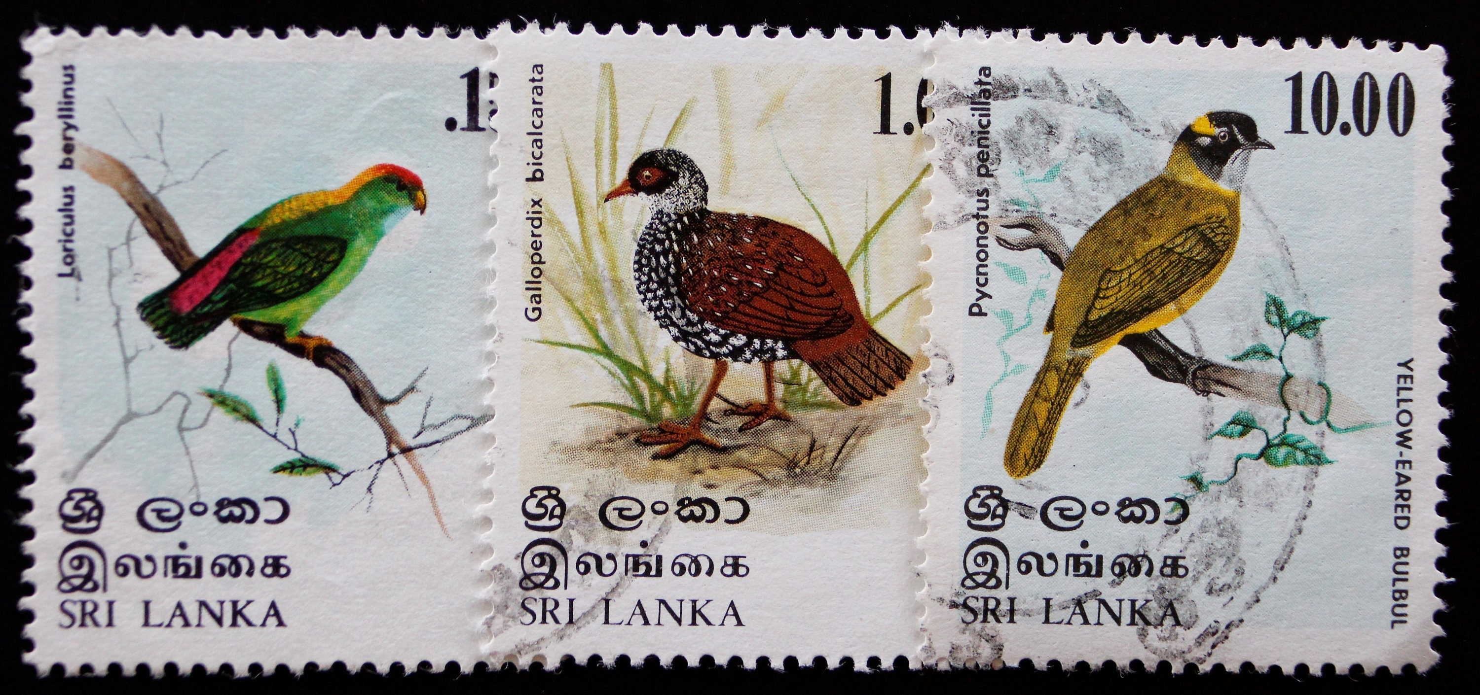 Sri Lankan Birds Postage Stamp Set // Sri Lanka 1979 Used - Etsy Australia