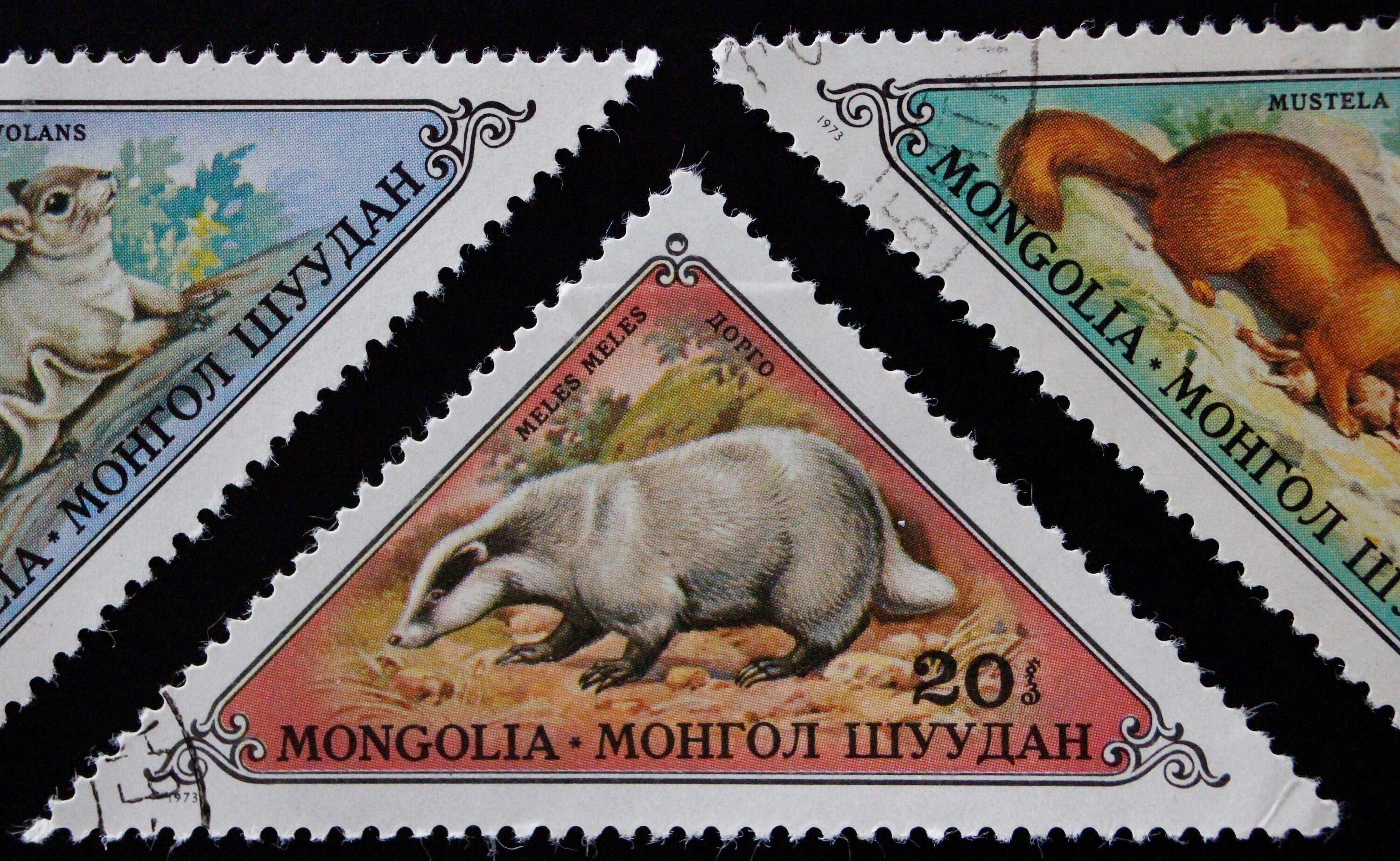 1973 Animals Postage Stamp Set // Mongolia Used Vintage Post Ephemera ...