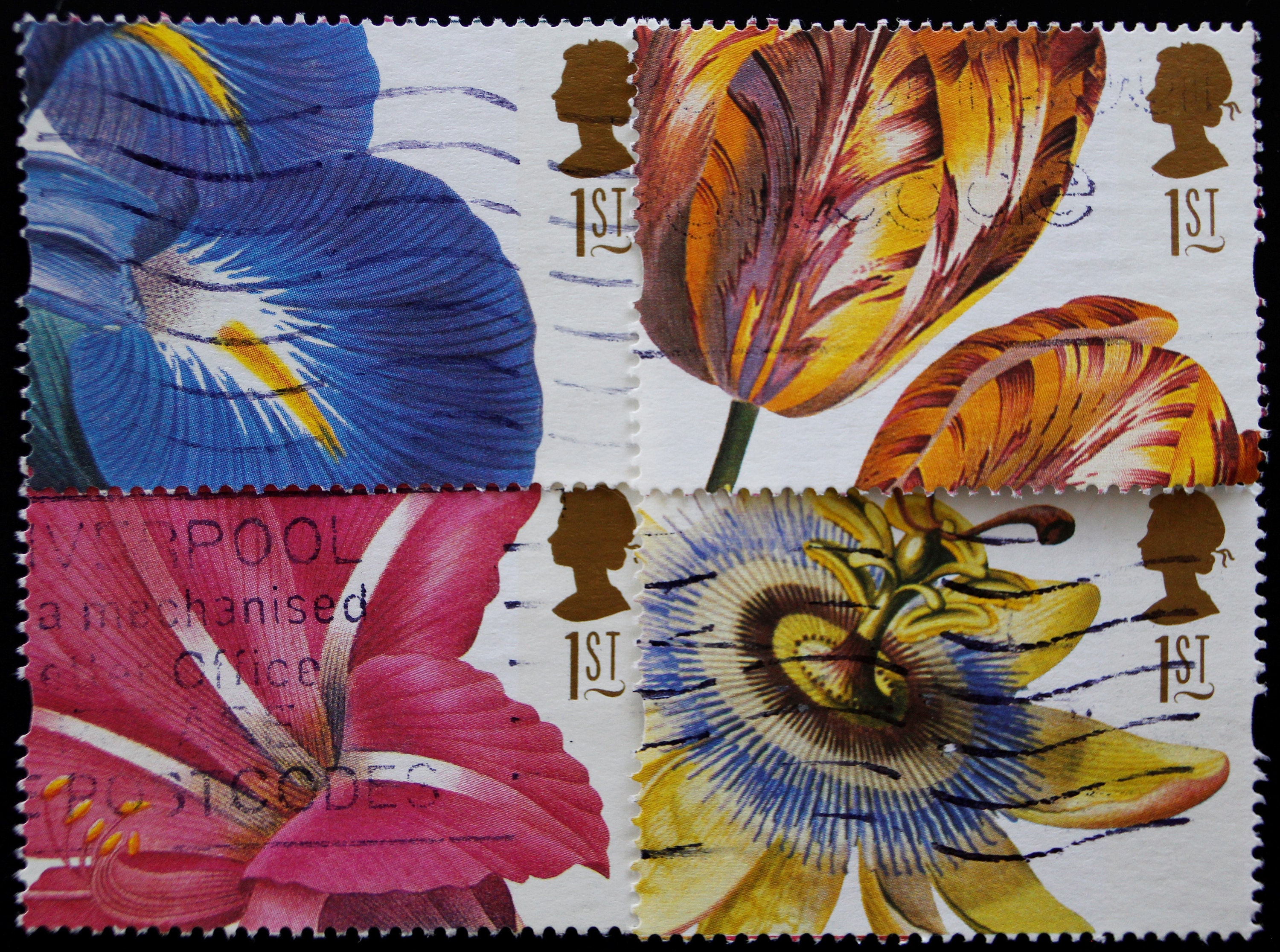 19th Century Flower Paintings Postage Stamp Set // United - Etsy
