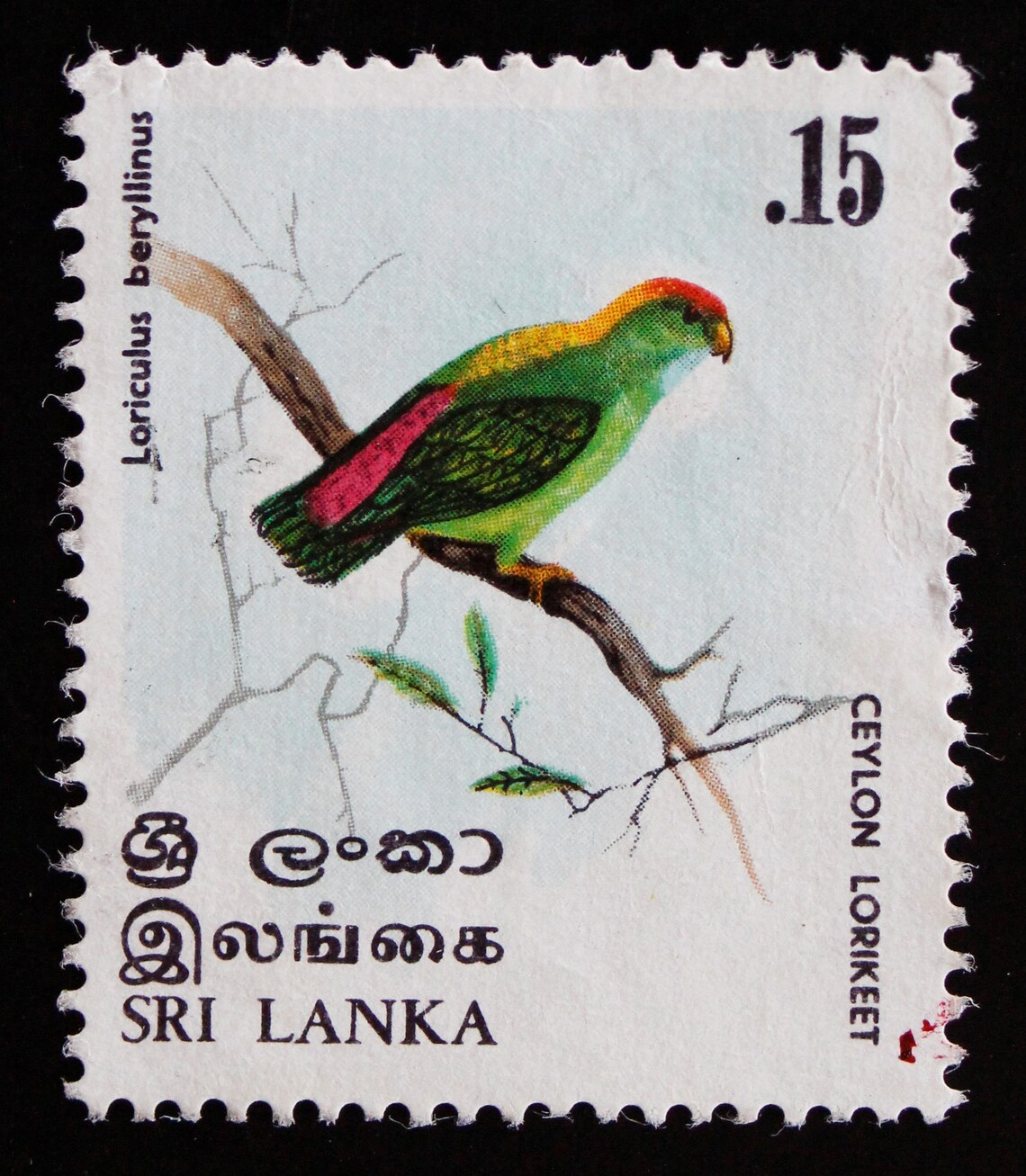 Sri Lankan Birds Postage Stamp Set // Sri Lanka 1979 Used - Etsy Australia